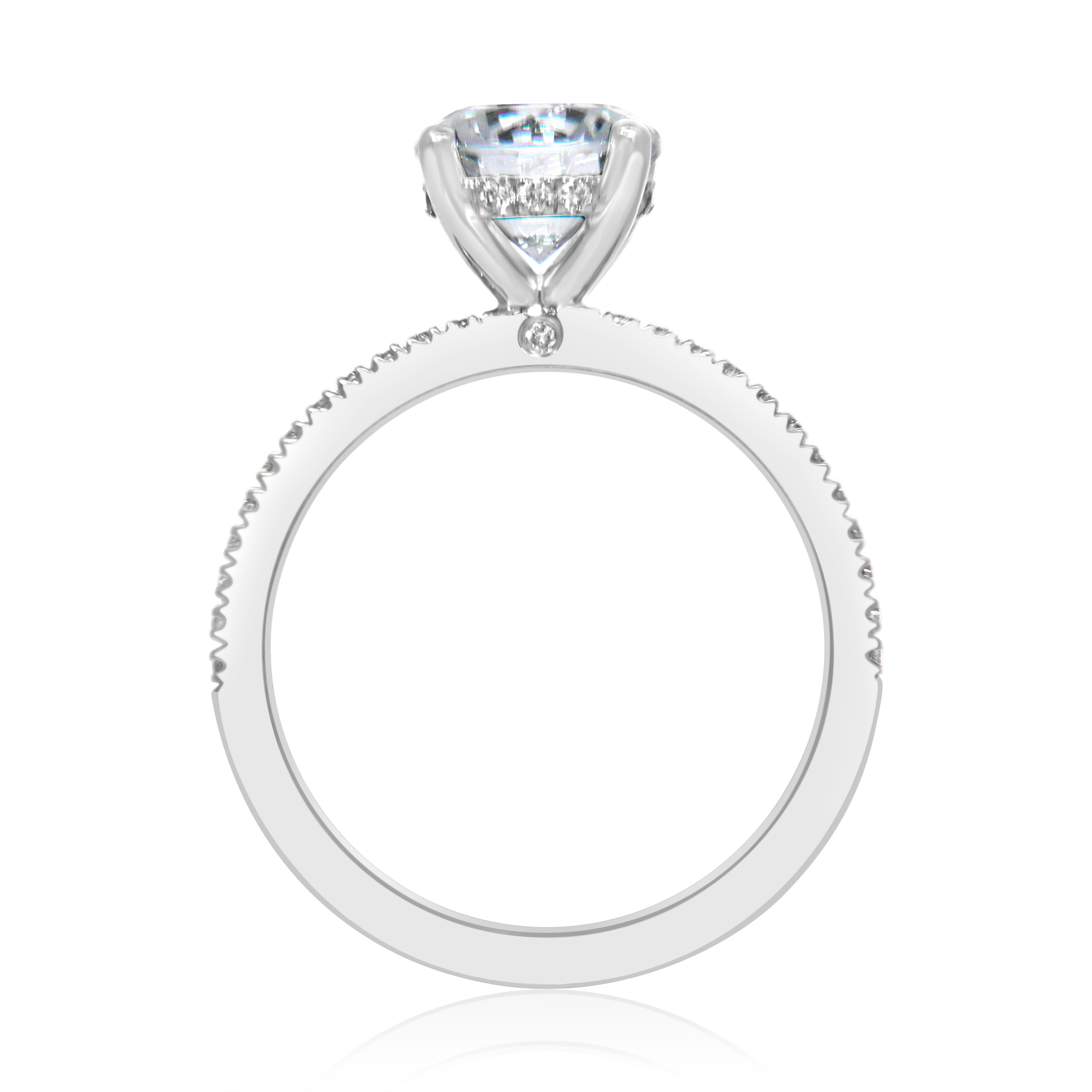 Hidden Details Engagement Ring - Z4606R